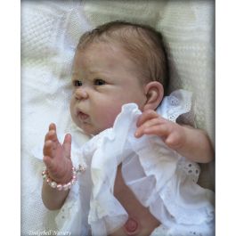 Material Reborn anna Material Reborn