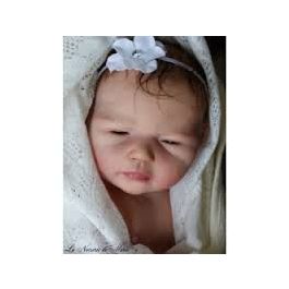 Material Reborn codie Material Reborn