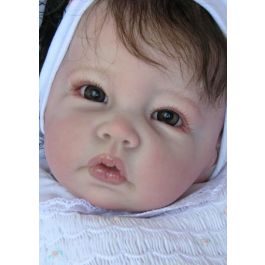 Material Reborn Luca Material Reborn