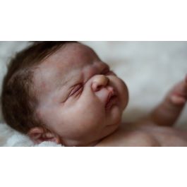 Material Reborn maddox Material Reborn