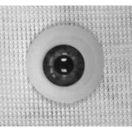 Material Reborn olhosnewborn gray Material Reborn