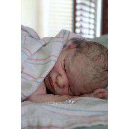 Material Reborn polly Material Reborn